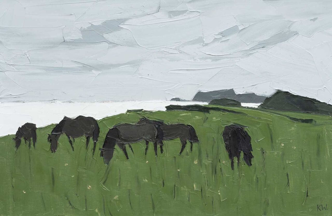 Carmarthen Welsh Sale Viewing — Rogers Jones Co