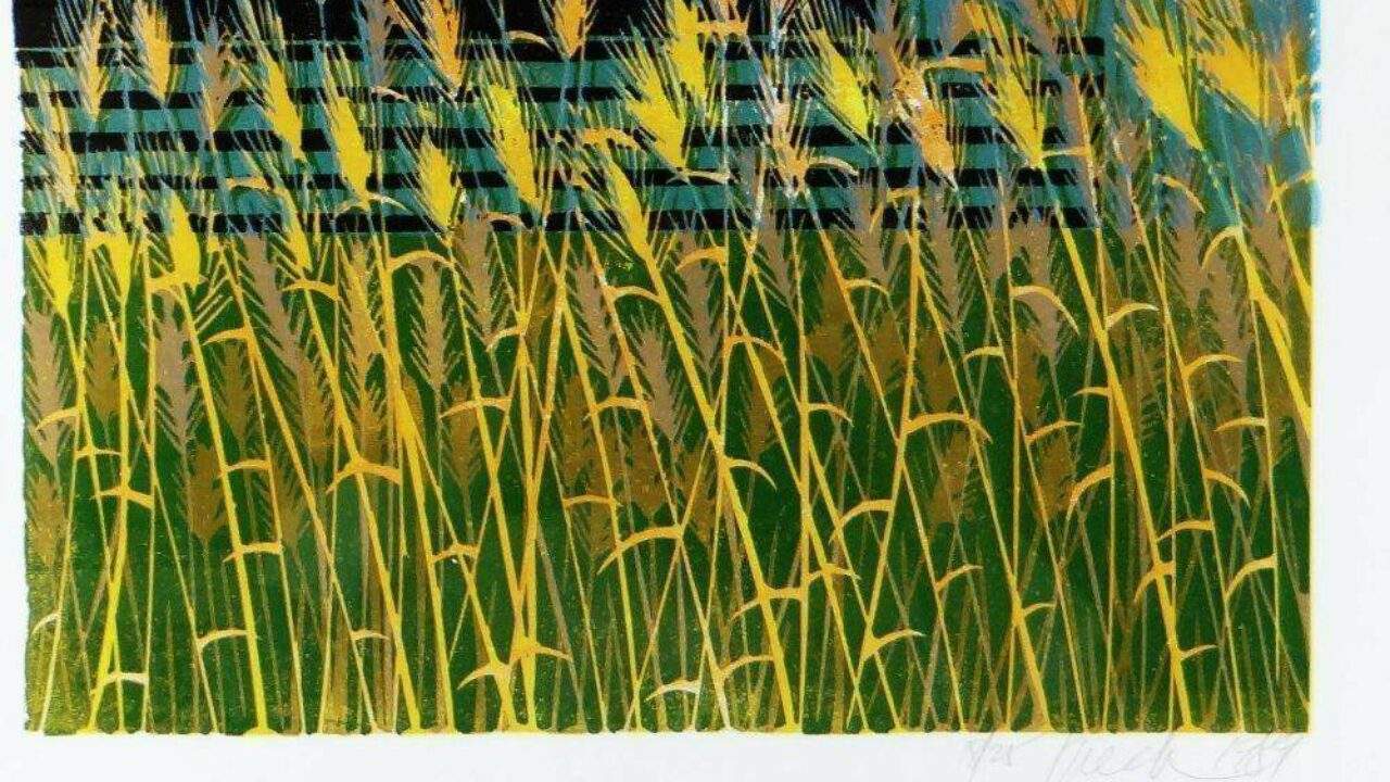 Ben Rogers Jones BA (Hons) — Rogers Jones Co (EN)