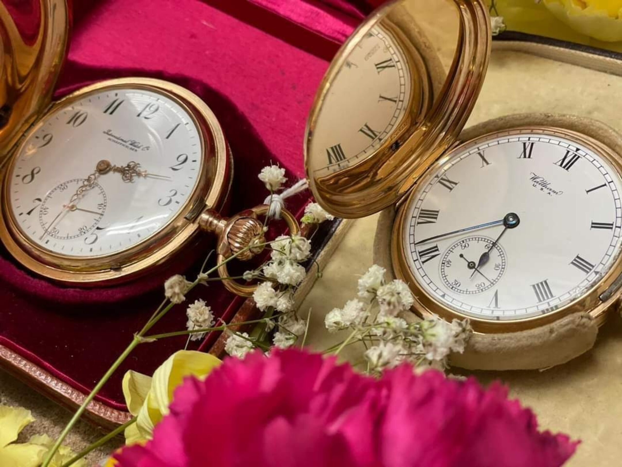 Spring Watch — Rogers Jones Co